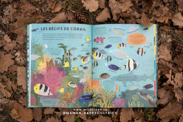 Des poissons par milliers de Britta Teckentrup - Kimane - Milestory.fr ...