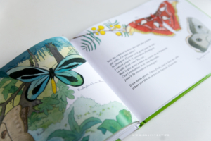 Activités papillons maternelle + Cartes de nomenclature papillons à ...