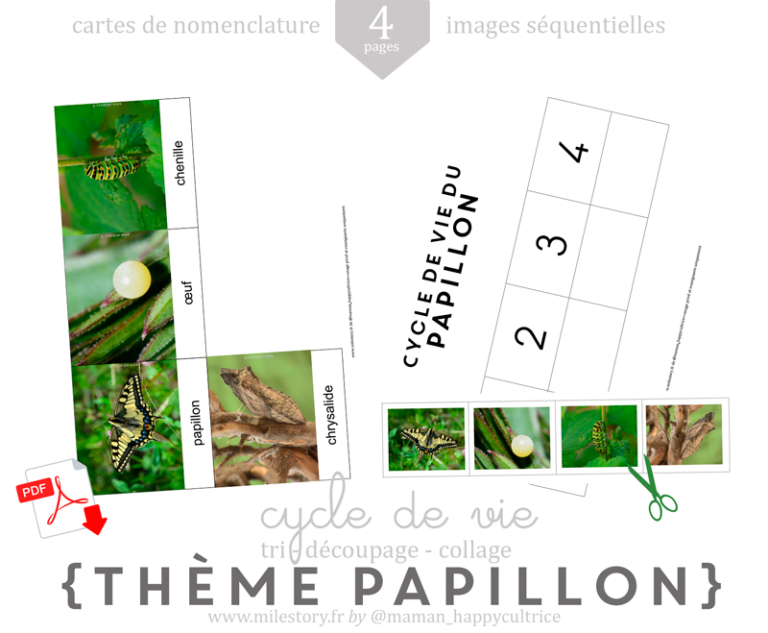 Activités papillons maternelle + Cartes de nomenclature papillons à ...