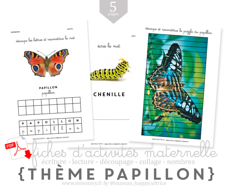 Activités papillons maternelle + Cartes de nomenclature papillons à ...