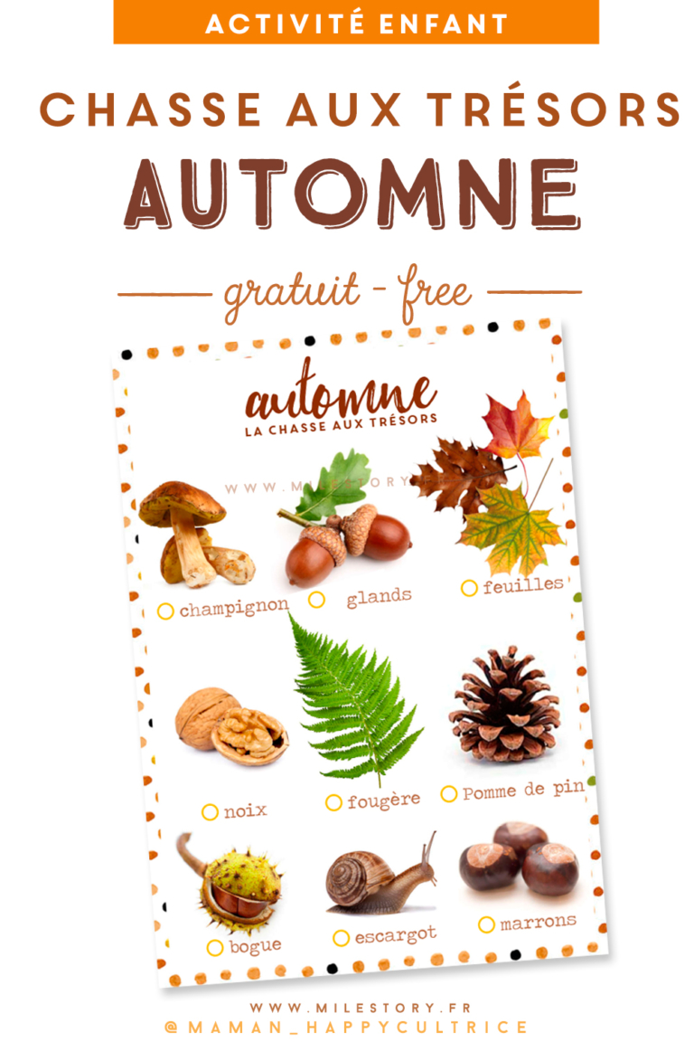 Activités thème automne maternelle : livres, imagier, activités ...