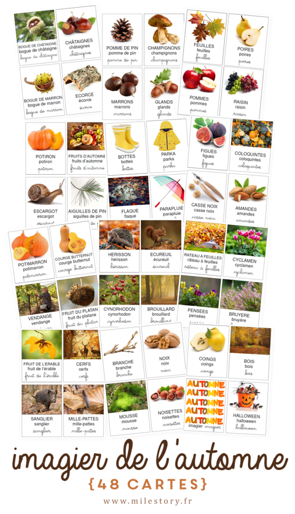 Jeu pour apprendre à écrire les mots d'automne avec les lettres de ...