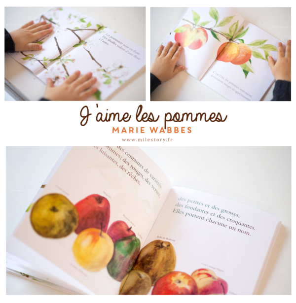 Atelier IEF maternelle - coschooling : Livres et activités sur la pomme ...