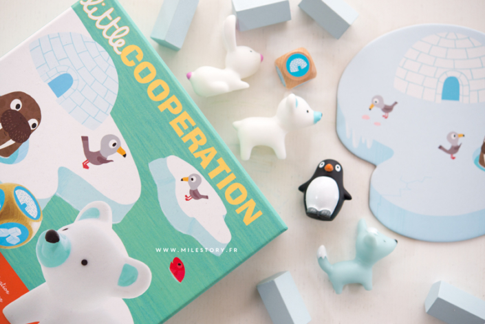 Activités banquise maternelle : animaux du froid, la vie aux pôles Nord ...