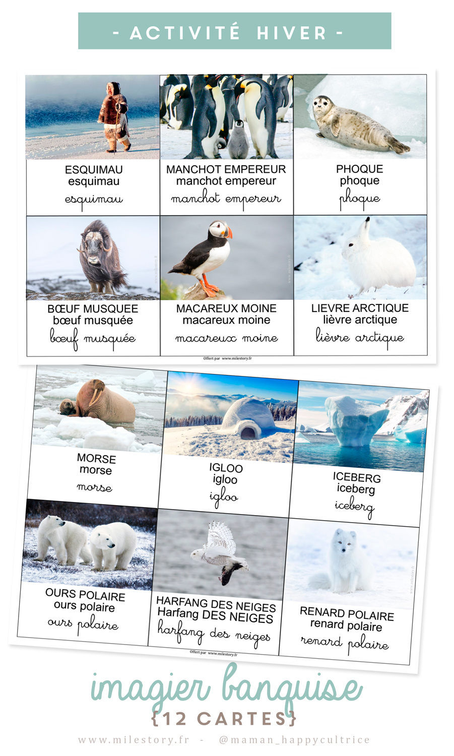 Activités banquise maternelle : animaux du froid, la vie aux pôles Nord ...