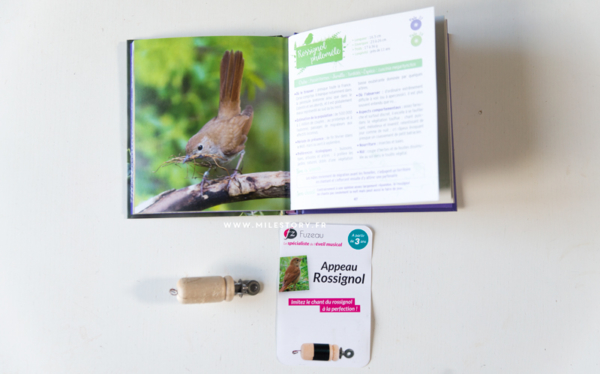 activités maternelle oiseaux + Cartes nomenclature oiseaux ...