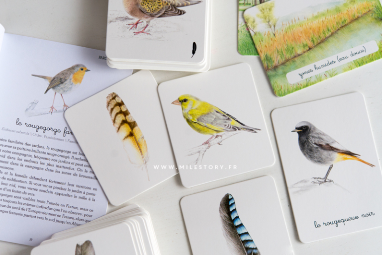 activités maternelle oiseaux + Cartes nomenclature oiseaux ...