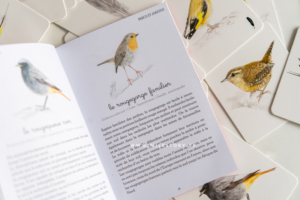 activités maternelle oiseaux + Cartes nomenclature oiseaux ...