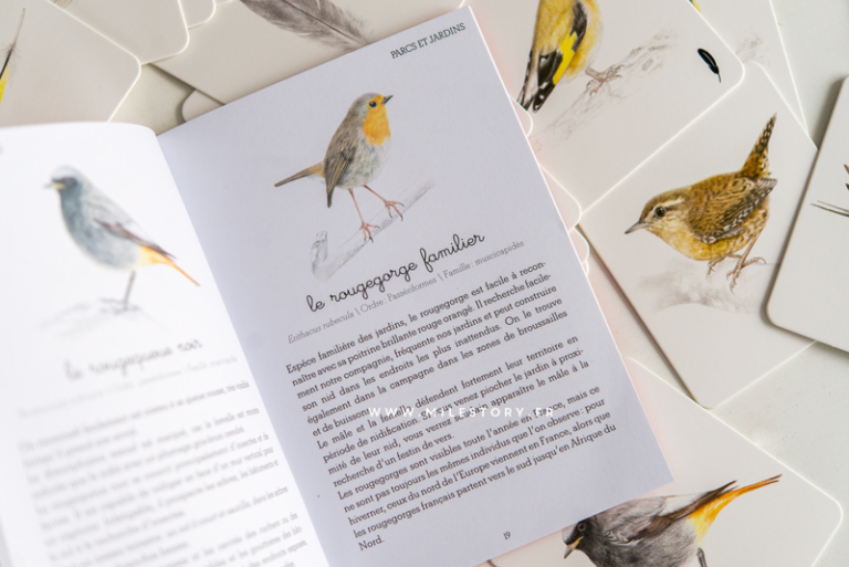 activités maternelle oiseaux + Cartes nomenclature oiseaux ...