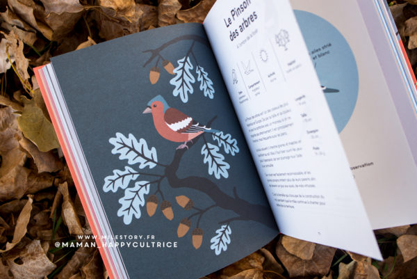 activités maternelle oiseaux + Cartes nomenclature oiseaux ...