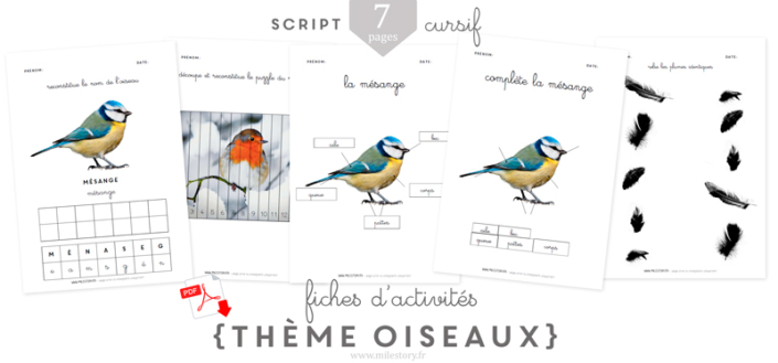 activités maternelle oiseaux + Cartes nomenclature oiseaux ...