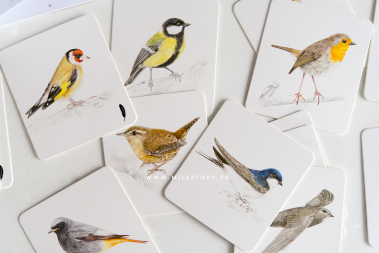 activités maternelle oiseaux + Cartes nomenclature oiseaux ...