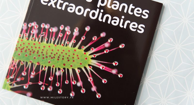 Livres et activités sur les plantes : introduction au monde végétal ...