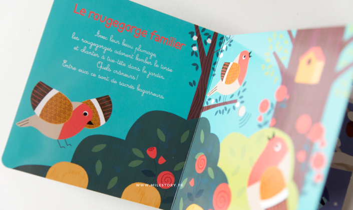 activités maternelle oiseaux + Cartes nomenclature oiseaux ...