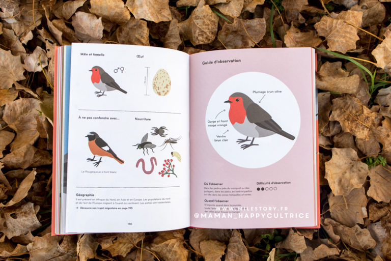 activités maternelle oiseaux + Cartes nomenclature oiseaux ...