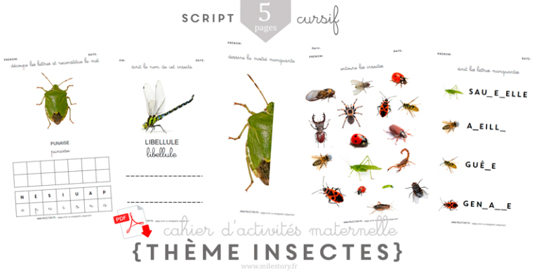 Livres et activités sur les insectes (et autres petites bêtes) en ...