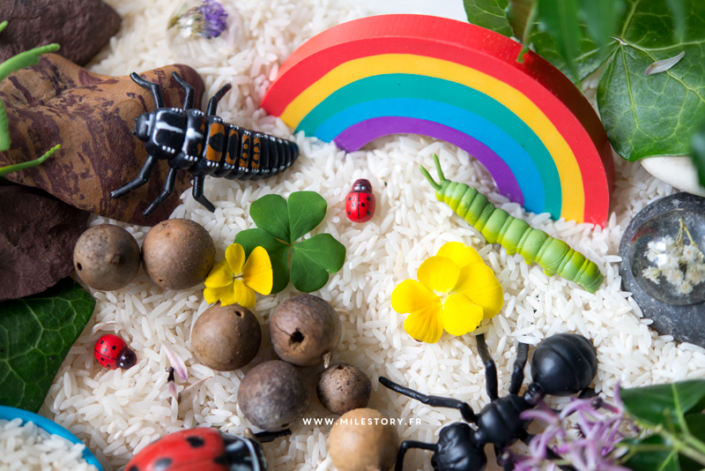 Livres et activités sur les insectes (et autres petites bêtes) en ...