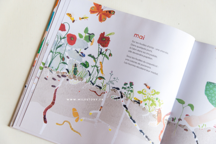 Livres et activités sur les insectes (et autres petites bêtes) en ...