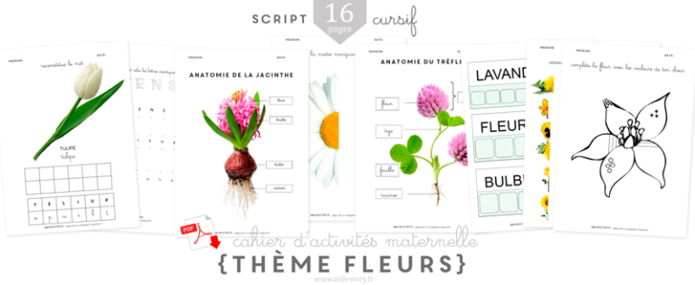 Exercices Sur Les Fleurs Pdf , Activités les fleurs en Maternelle – FVBWBY