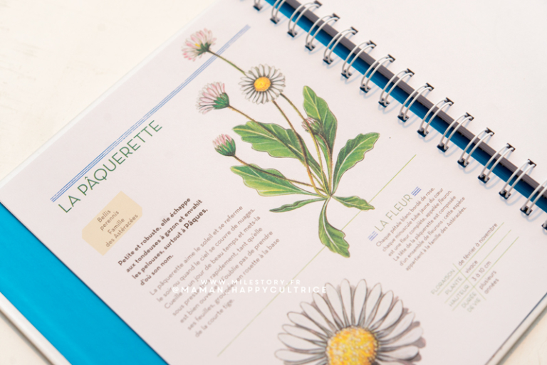 Livres et activités sur les fleurs en maternelle - Milestory.fr Fiches ...
