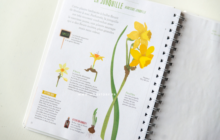 Livres et activités sur les fleurs en maternelle - Milestory.fr