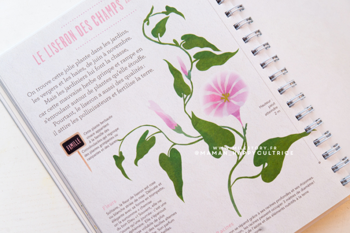 Livres et activités sur les fleurs en maternelle - Milestory.fr Fiches ...