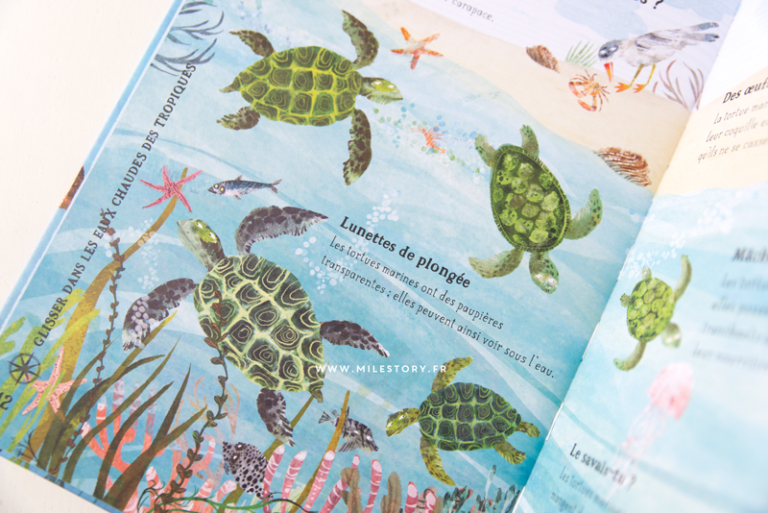 Activités thème poisson et mer en maternelle - Milestory.fr Fiches d ...