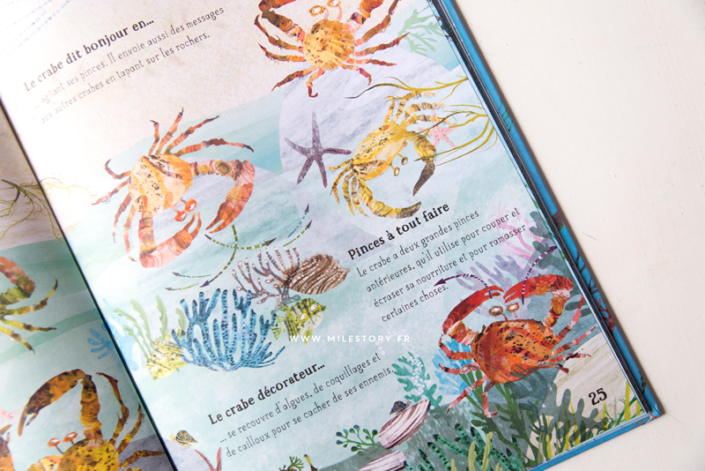 Livre - Nos incroyables animaux marins - Milestory.fr Fiches d ...