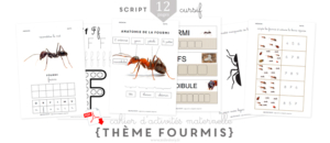 Livres et activités sur les fourmis maternelle - coschooling - Milestory