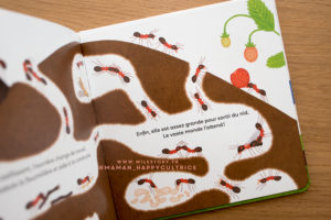 Livres et activités sur les fourmis maternelle - coschooling ...