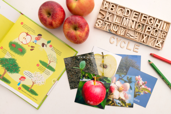 Atelier IEF maternelle - coschooling : Livres et activités sur la pomme ...