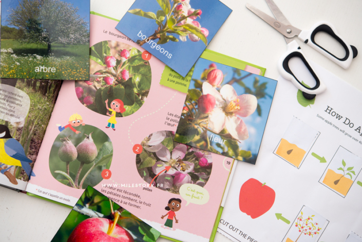 Atelier IEF maternelle - coschooling : Livres et activités sur la pomme ...