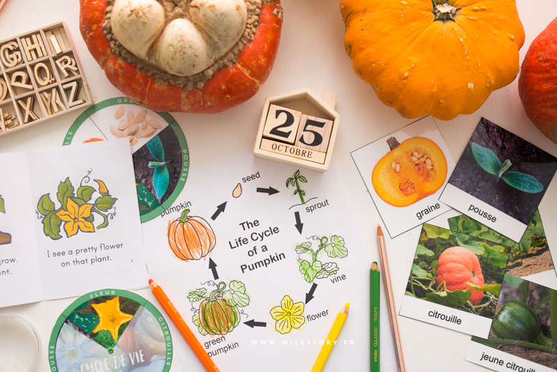 Récap Activités Halloween Maternelle - ief coschooling - Milestory