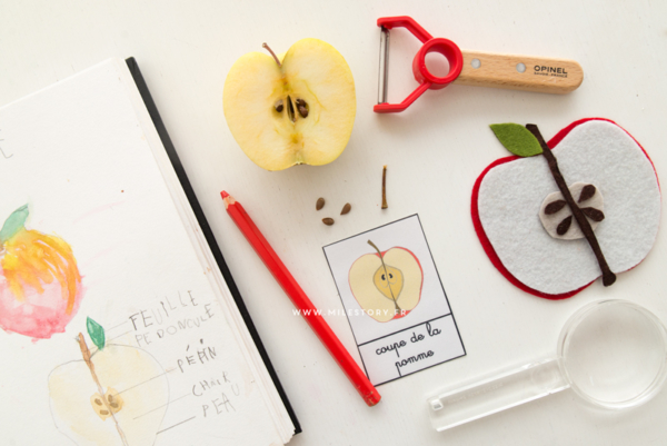 Atelier IEF maternelle - coschooling : Livres et activités sur la pomme ...