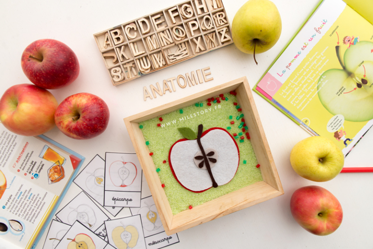 Atelier IEF maternelle - coschooling : Livres et activités sur la pomme ...