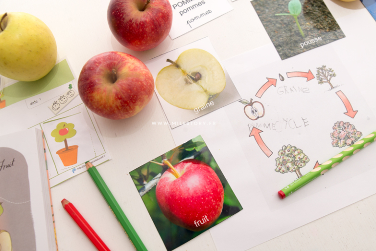 Atelier IEF maternelle - coschooling : Livres et activités sur la pomme ...