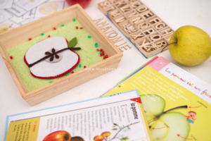 Atelier IEF maternelle - coschooling : Livres et activités sur la pomme ...