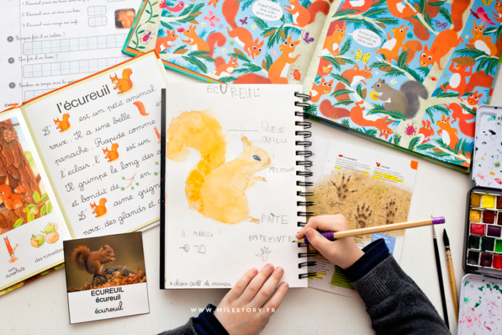 Activités animaux de la forêt / ief, coschooling, maternelle ...