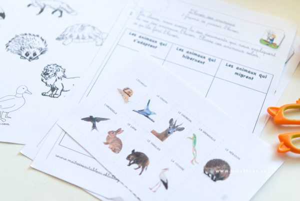 Activités animaux de la forêt / ief, coschooling, maternelle - Milestory