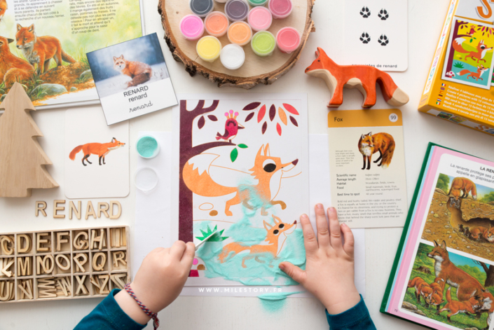 Activités animaux de la forêt / ief, coschooling, maternelle ...