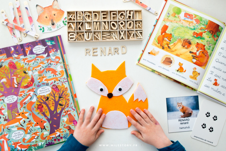 Activités animaux de la forêt / ief, coschooling, maternelle ...