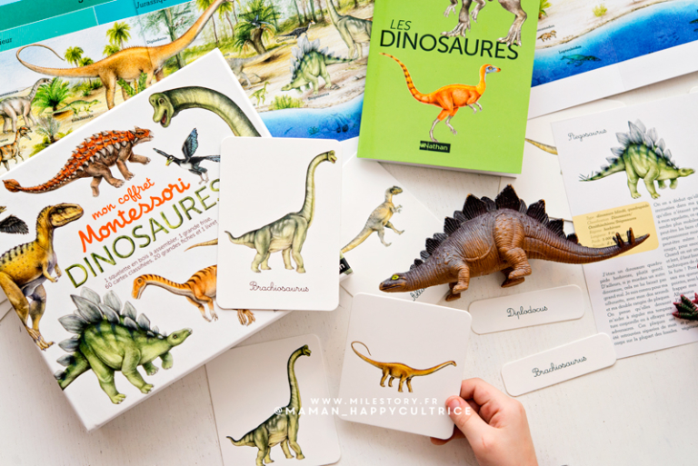Livres et activités dinosaures en maternelle - Milestory.fr Fiches d ...