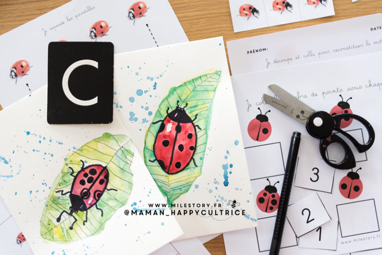 Activités sur les coccinelles en maternelle avec cartes du cycle de vie ...