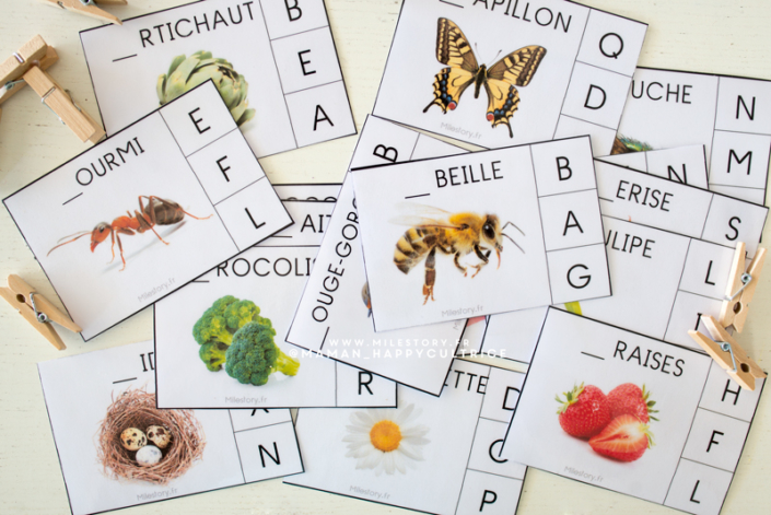 Jeu de Cartes à pince phonologie vocabulaire de printemps à imprimer ...