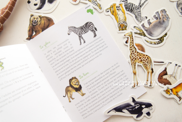 Activités maternelle sur les animaux - Milestory.fr Fiches d'activités ...