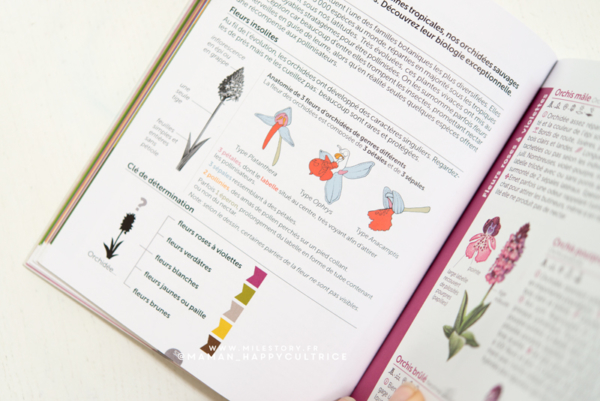 Livres et activités sur les fleurs en maternelle - Milestory.fr Fiches ...