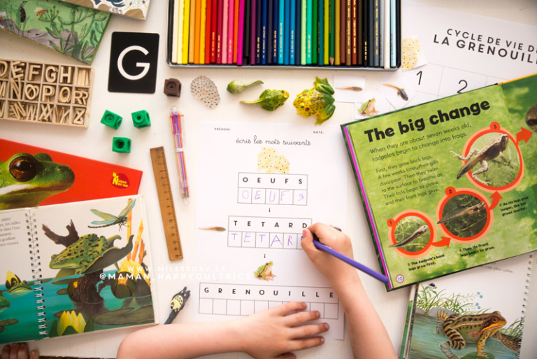 Activités sur la grenouille, les étangs et rivières en maternelle ...
