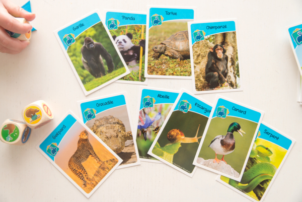 Bioviva Junior : un jeu pour découvrir les animaux - Milestory.fr ...