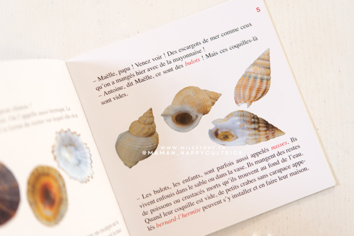 Activités Océans, Mer, plage et coquillages - maternelle - Milestory.fr ...