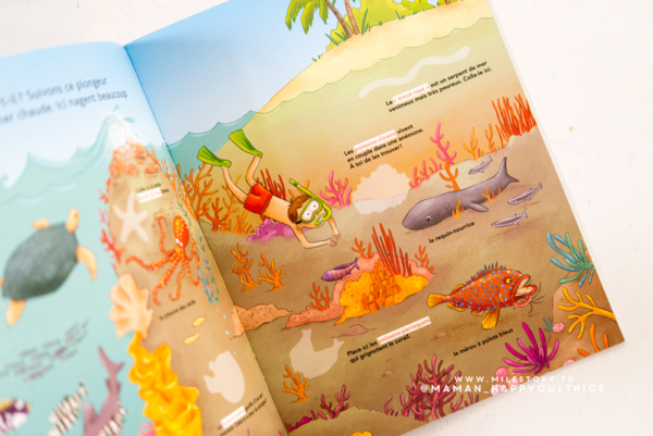 Activités thème poisson et mer en maternelle - Milestory.fr Fiches d ...